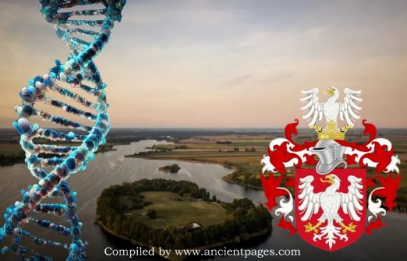 Tracing The Piast Dynasty: A DNA Search For The Founders Of Poland ...